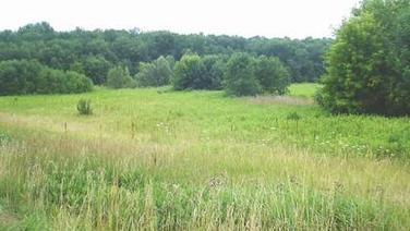 Park | Mequon WI
