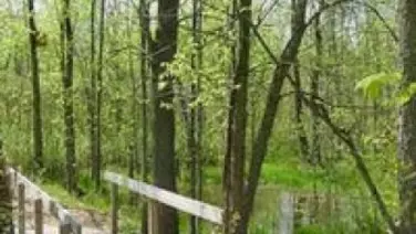 Park | Mequon WI
